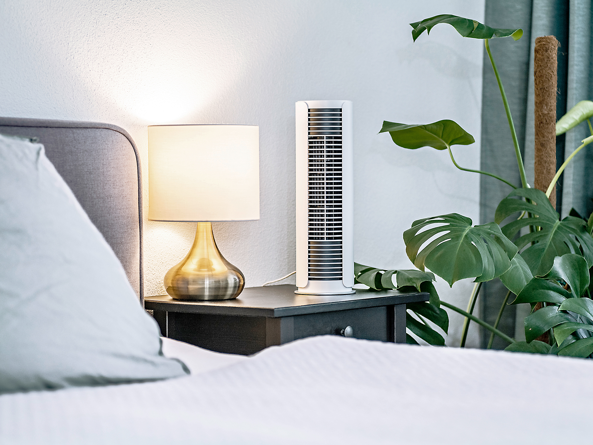 Peter little Fan | Stadler Form